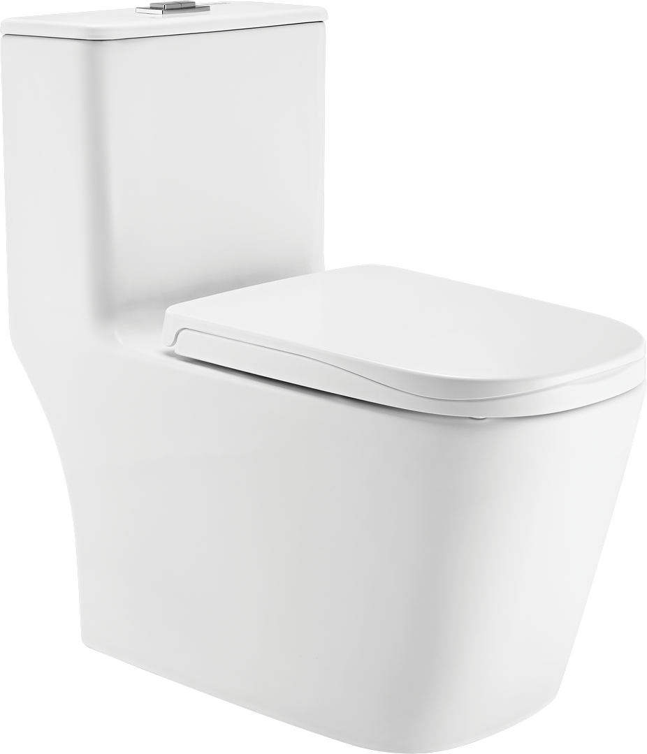 Quell Rimless One Piece EWC Western Toilet Seats by Senator