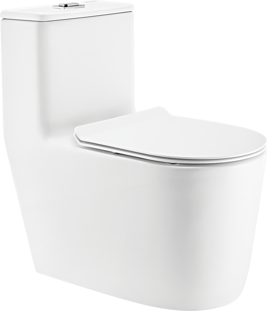 Elanore Pro Rimless One Piece EWC Western Toilet Seats by Senator