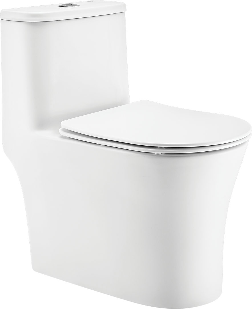 Orbix Rimless One Piece EWC, Western Toilet Seats by Senator