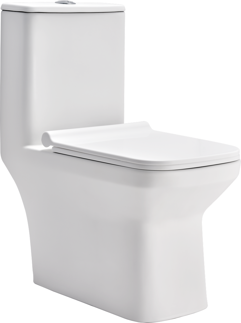 Tuscany Rimless One Piece Luxury Toilets by Senator